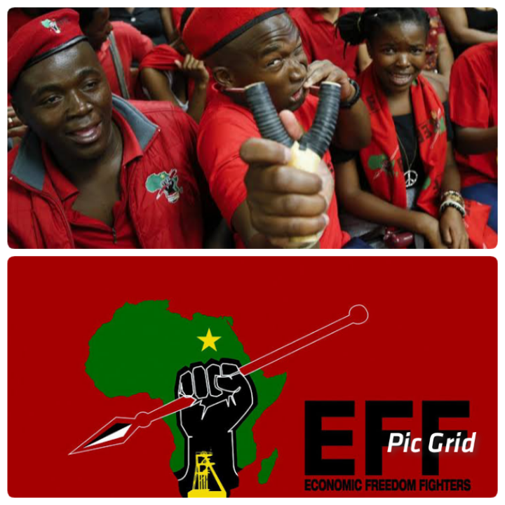 EFF promised to close schools if they reopen - Southern African Celebs