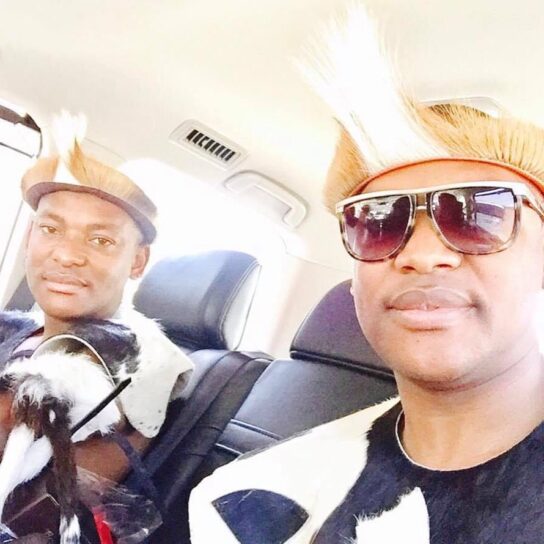 7 musicians with twins, fraternal and identical ones - Southern African ...