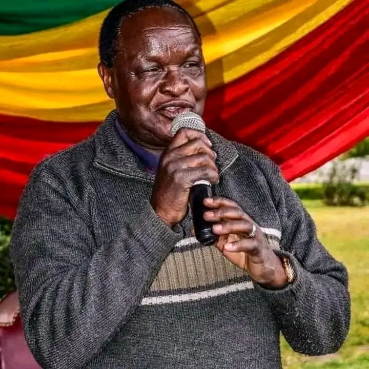 Mechanic Manyereke, age,education, career and personal life - Southern ...